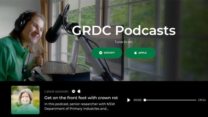 Kate Coffey talks Fusarium crown rot in new GRDC podcast
