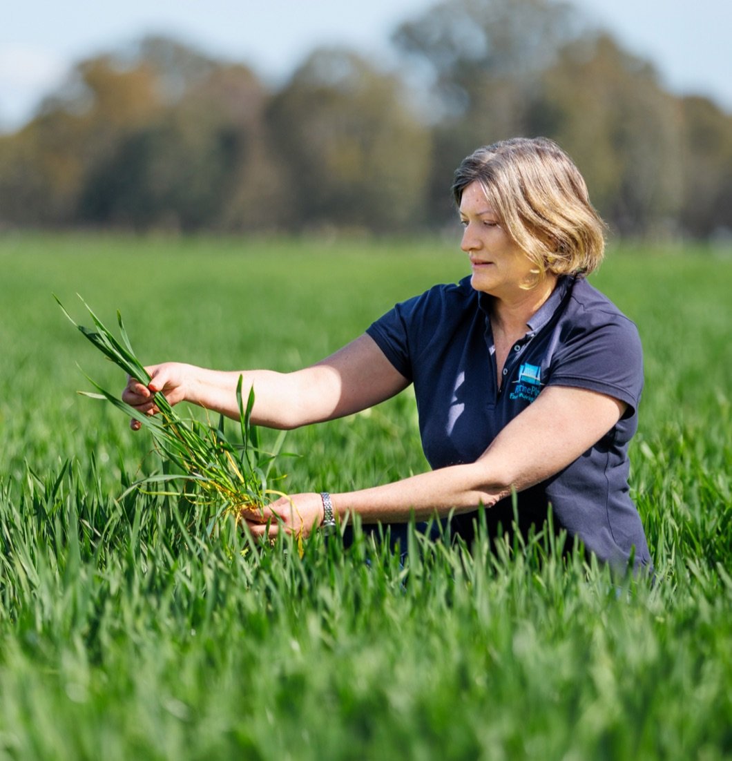 Our Strategic Goals | Riverine Plains