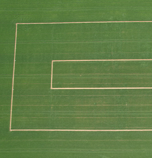 Best practice liming in north east Victoria - final trial results