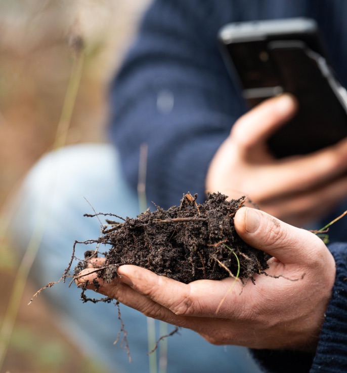 Diagnosis frameworks for multiple and complex soil constraints ...