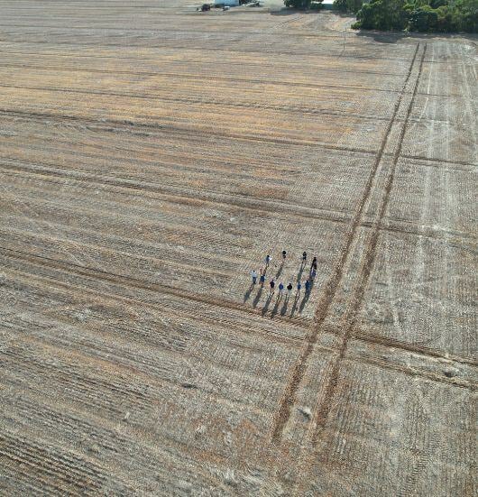 Harvest Wrap Up Rutherglen