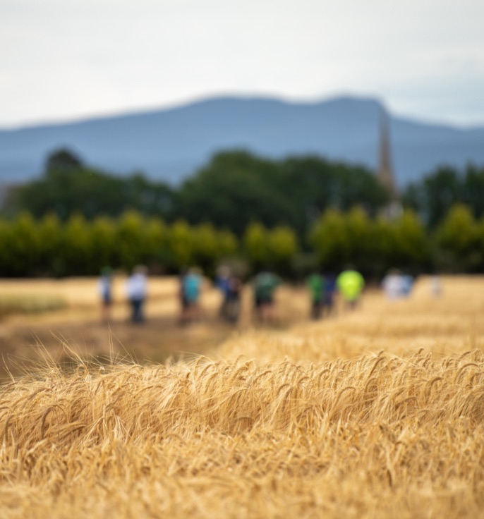 Improved water use efficiency in no till cropping and stubble retained ...