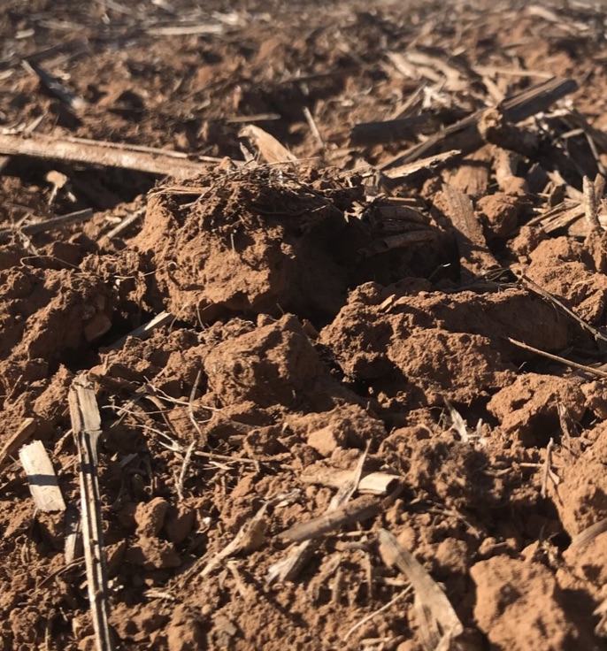 Tools to help manage complex soil constraints | Riverine Plains