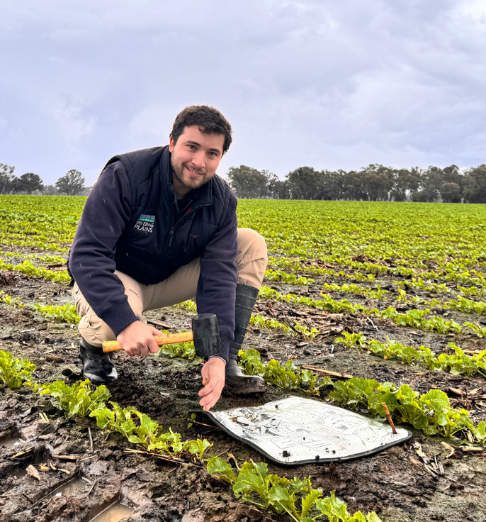 Optimising slug management